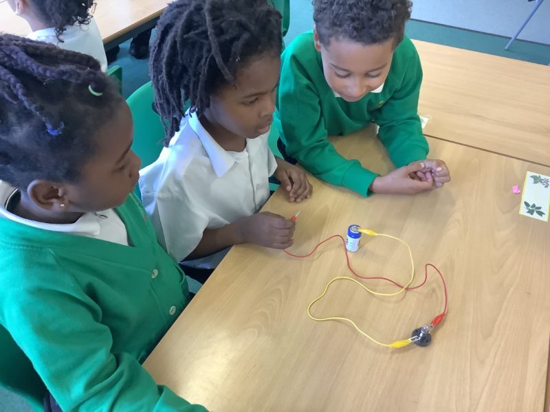 Orchard Primary School | Year 2 Conduct Electricity