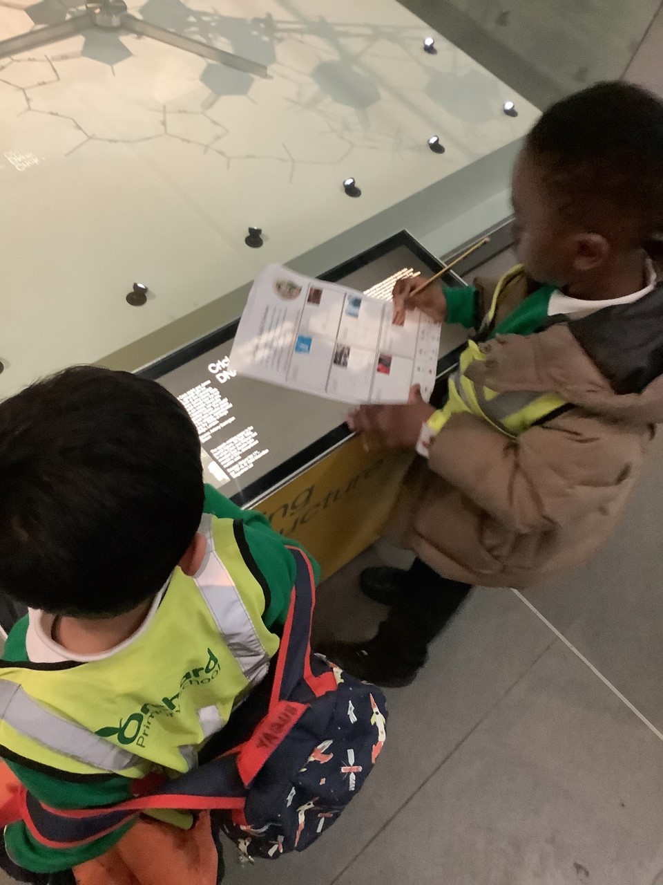 Orchard Primary School | Year 1 Explore Science Museum