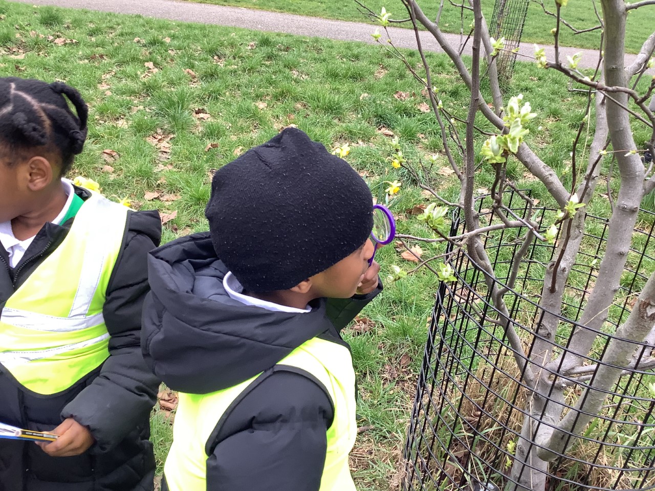 Orchard Primary School | EYFS Nature Walk