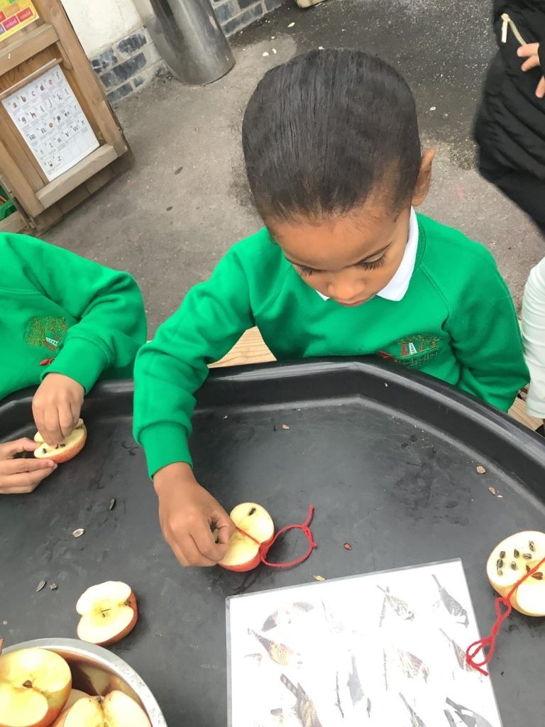 Orchard Primary School | EYFS Plant Seeds