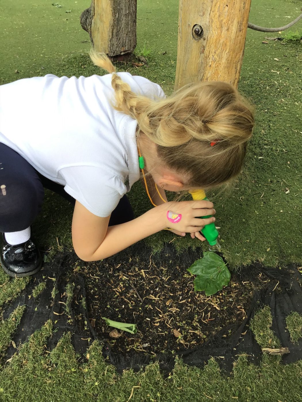 Year 2 Nature Walk - Orchard Primary School