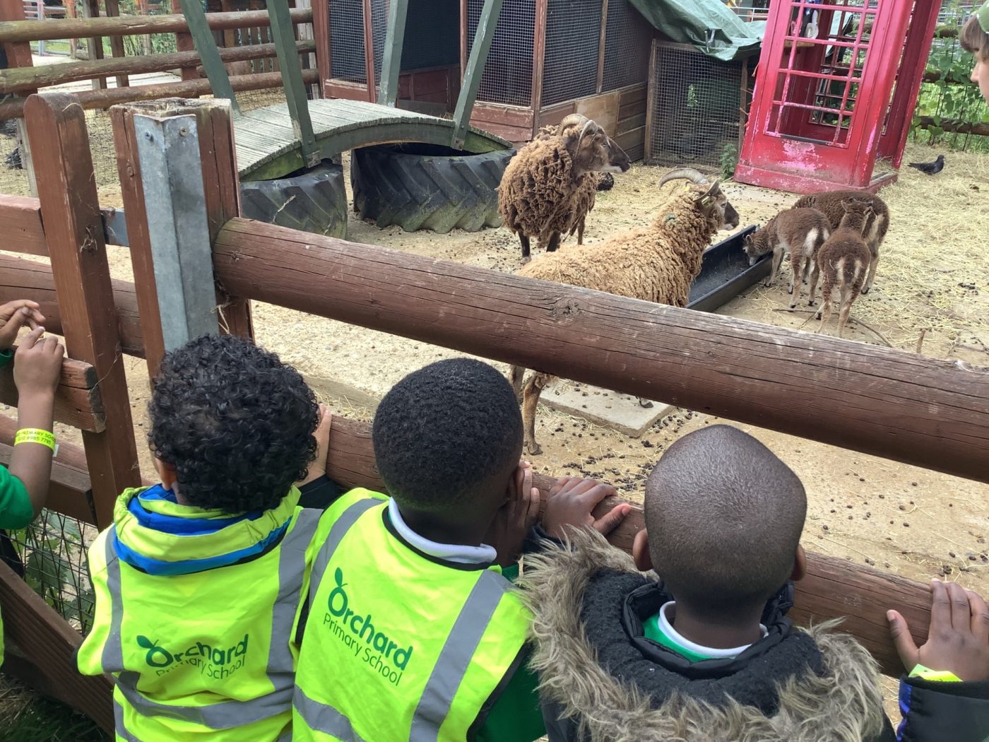 Orchard Primary School | EYFS Farm Visit
